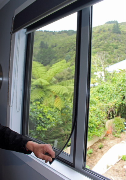 Insect Screens | My Website